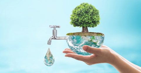 Welcome to Conservation Solutions - Conservation Solutions Corp